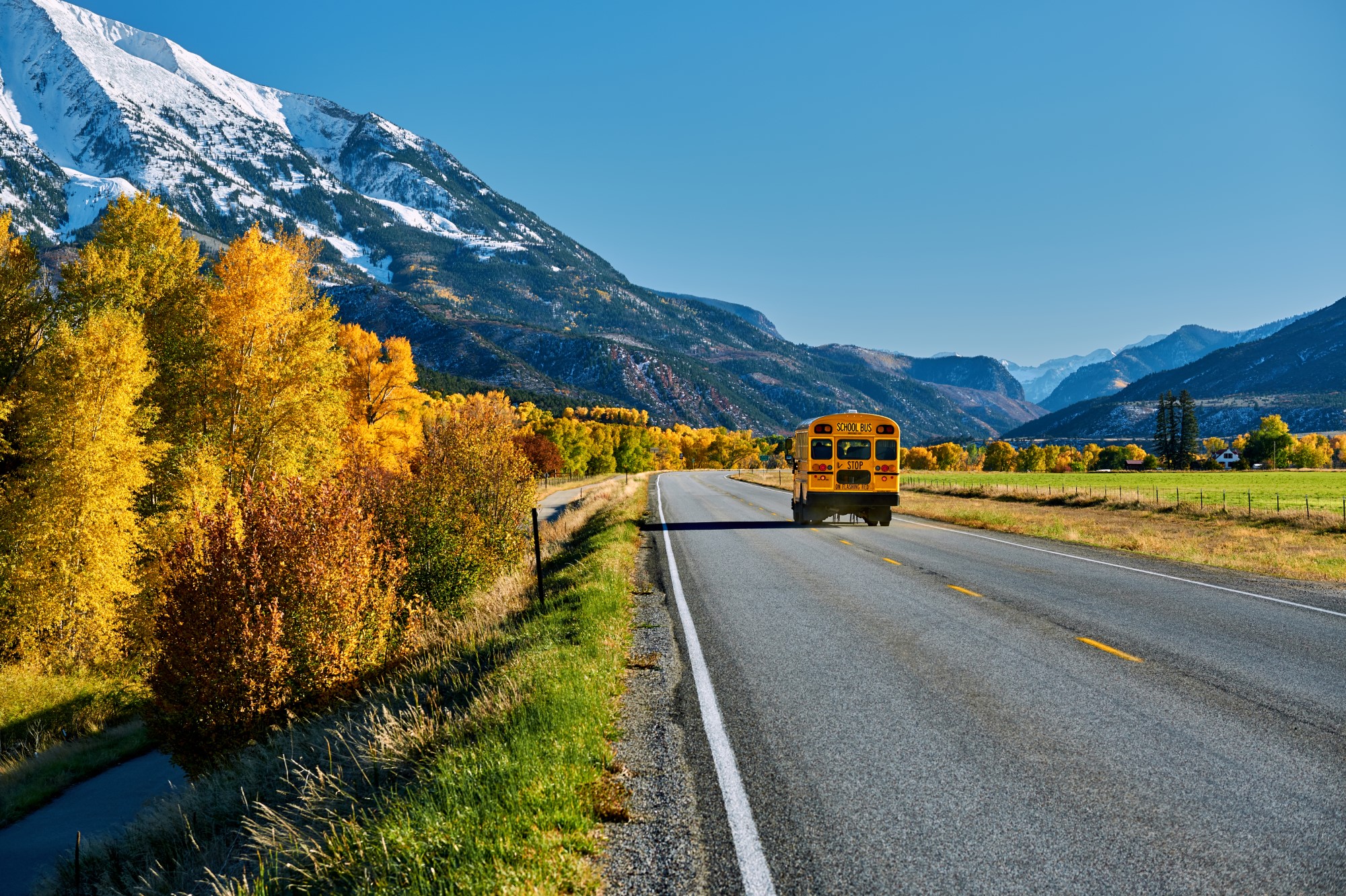 Investors | Mobico Group