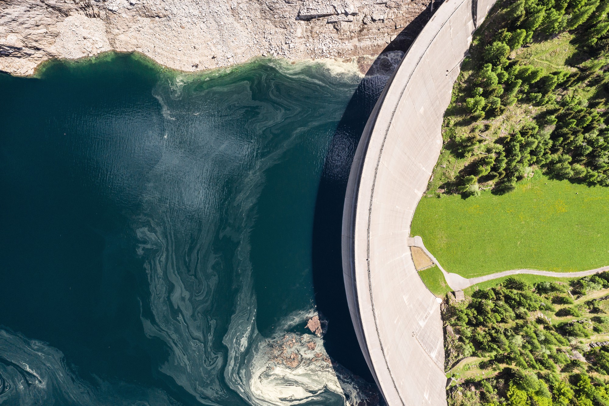 Investors | Mobico Group